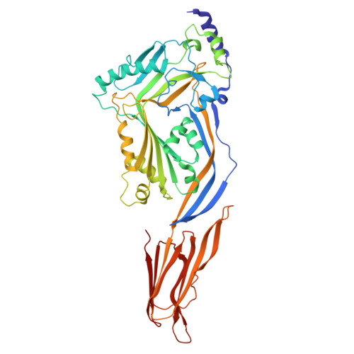 RCSB PDB - 5AOD: Crystal structure of wild type pneumolysin.
