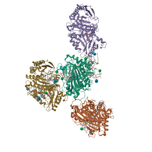 RCSB PDB - 5AWV: Crystal structure of glycopeptide hexose oxidase DBV29 ...