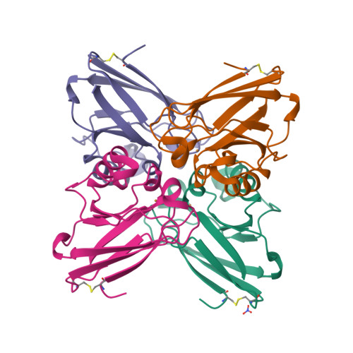 RCSB PDB - 5AZU: CRYSTAL STRUCTURE ANALYSIS OF OXIDIZED PSEUDOMONAS ...