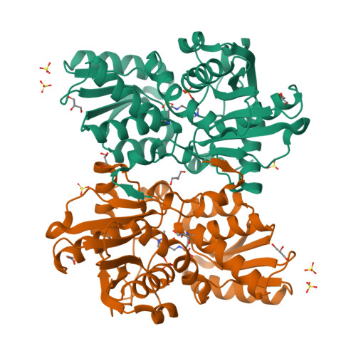 RCSB PDB - 5B1H: Crystal structure of cystathionine beta-synthase from ...