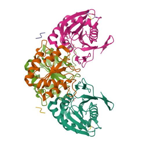 RCSB PDB - 5B74: Crystal structure of conjoined Pyrococcus furiosus L ...