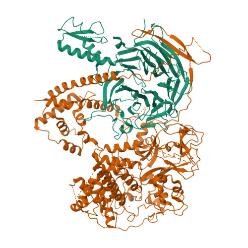 RCSB PDB - 5BJS: Apo ctPRC2 in an autoinhibited state