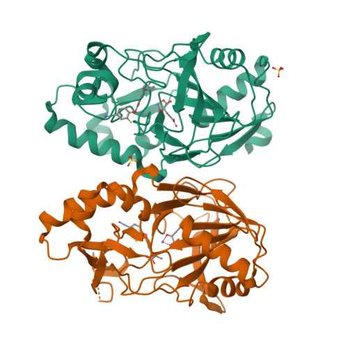RCSB PDB - 5BKD: Crystal structure of AAD-1 in complex with (R ...