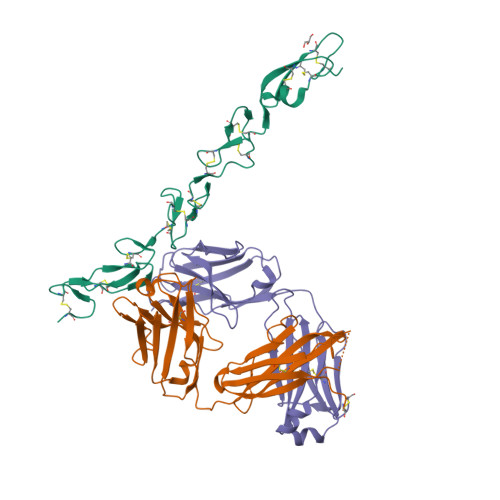 RCSB PDB - 5BO1: Crystal structure of a human Jag1 fragment in complex ...
