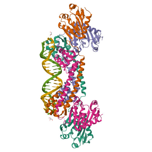 RCSB PDB - 5BPD: Structure of TrmBL2, an archaeal chromatin protein ...