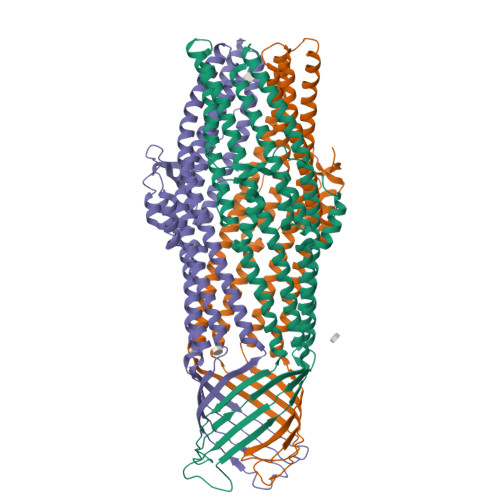 RCSB PDB - 5BUN: Crystal structure of an antigenic outer membrane ...