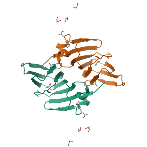 RCSB PDB - 5BY5: High resolution structure of the ectoine synthase from ...