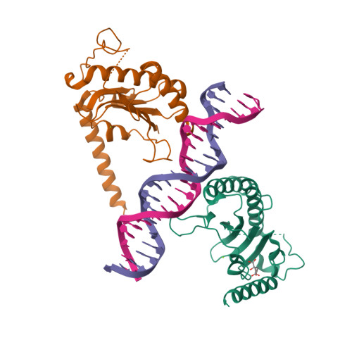 RCSB PDB - 5BYG: X-ray structure of AAV2 OBD-AAVS1 complex 2:1