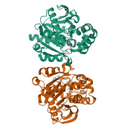RCSB PDB - 5C7Y: ZHD-Intermediate complex after ZHD crystal soaking in ...