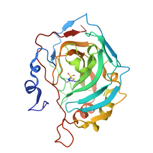 RCSB PDB - 5C8I: Joint X-ray/neutron structure of Human Carbonic ...