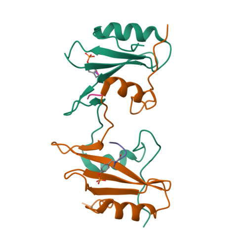 RCSB PDB - 5CDW: Crystal Structure Analysis of a mutant Grb2 SH2 domain ...
