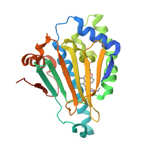 RCSB PDB - 5CF0: Crystal Structure of the human Hsp90-alpha N-domain ...