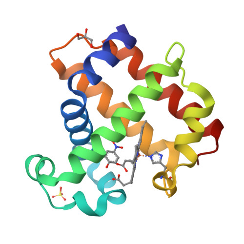 RCSB PDB - 5CHQ: Dehaloperoxidase B in complex with substrate p-nitrophenol