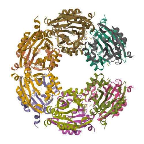 RCSB PDB - 5CNP: X-ray crystal structure of Spermidine n1 ...