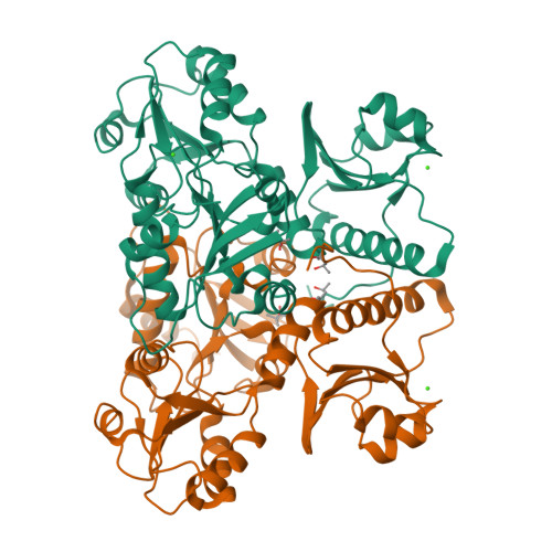 RCSB PDB - 5CRE: Human skeletal calsequestrin, D210G mutant low-calcium ...