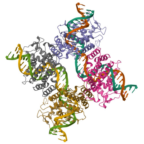 RCSB PDB - 5CRX: ASYMMETRIC DNA-BENDING IN THE CRE-LOXP SITE-SPECIFIC ...