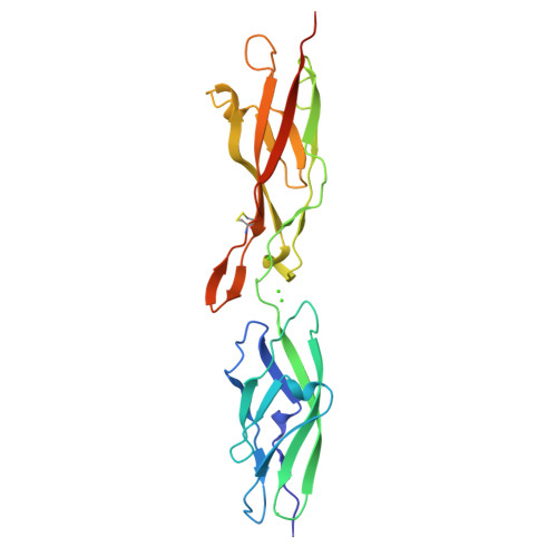 RCSB PDB - 5CZR: Crystal Structure of Human Protocadherin-24 EC1-2