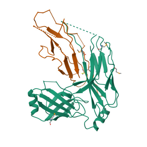 RCSB PDB - 5D6H: Crystal structure of CsuC-CsuA/B chaperone-major ...