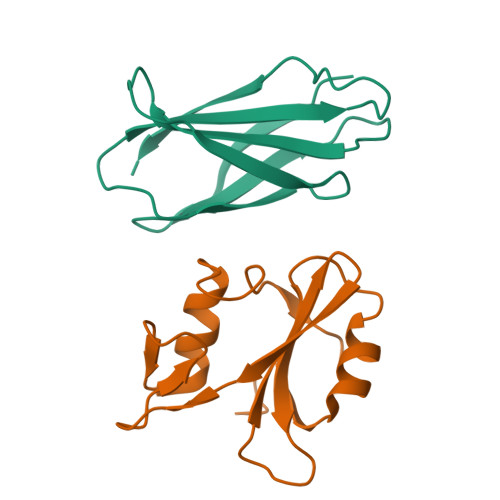 RCSB PDB - 5DC0: CRYSTAL STRUCTURE OF MONOBODY GG3/ABL1 SH2 DOMAIN COMPLEX