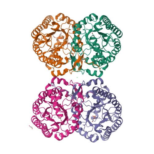 RCSB PDB - 5DCB: Neisseria meningitidis 3-deoxy-D-arabino-heptulosonate ...