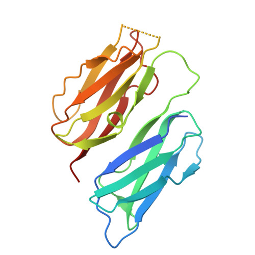 RCSB PDB - 5DCP: Crystal structure of the human filamin B Ig-like ...