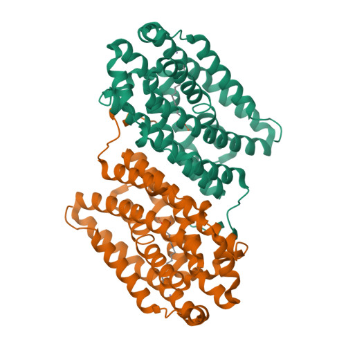RCSB PDB - 5DCS: R2-like ligand-binding oxidase with aerobically ...