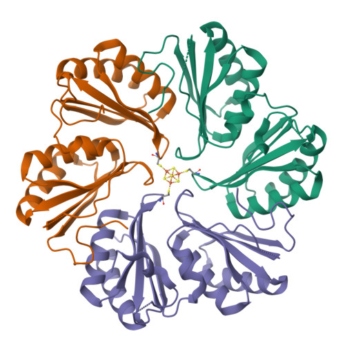 RCSB PDB - 5DII: Structure of an engineered bacterial microcompartment ...