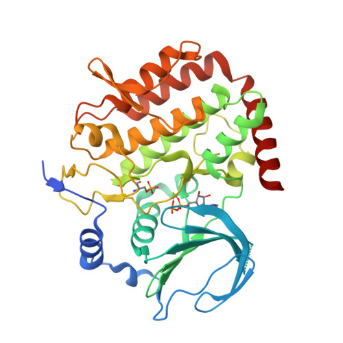 RCSB PDB - 5DMZ: Structure of human Bub1 kinase domain phosphorylated ...