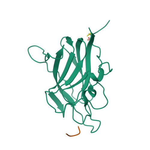 RCSB PDB - 5DN2: Human NRP2 b1 domain in complex with the peptide ...