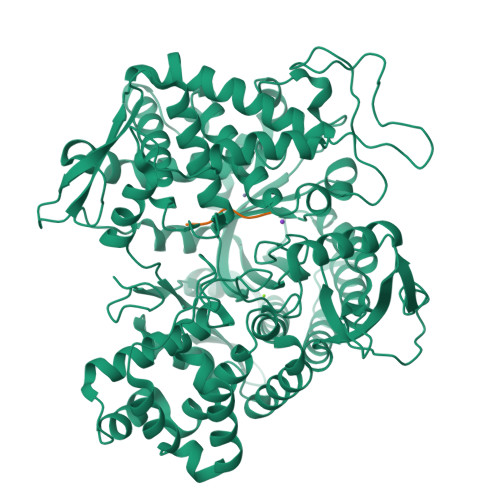 RCSB PDB - 5E3C: Structure of human DPP3 in complex with hemorphin like ...