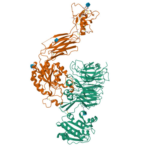 RCSB PDB - 5E6R: Structures of leukocyte integrin aLb2: The aI domain ...