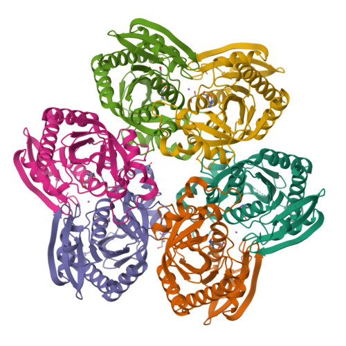 RCSB PDB - 5EFO: X-ray structure uridine phosphorylase from Vibrio ...