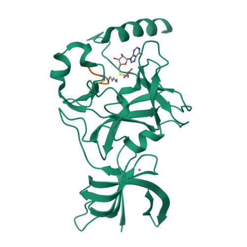RCSB PDB - 5EG2: SET7/9 N265A in complex with AdoHcy and TAF10 peptide