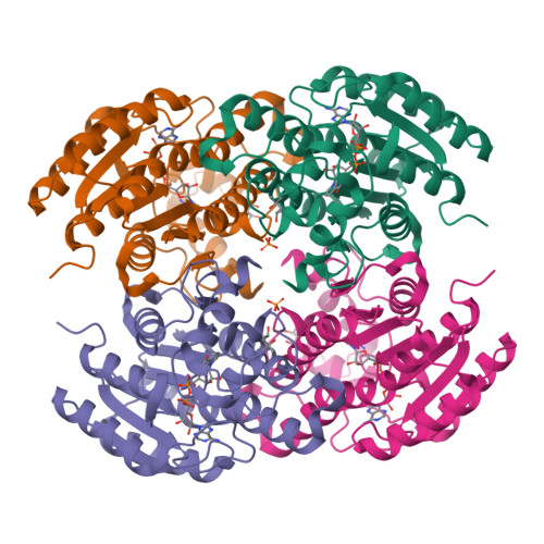 RCSB PDB - 5EJ2: Crystal structure of Carveol dehydrogenase from ...