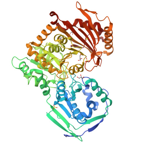 RCSB PDB - 5EPC: Crystal structure of wild-type human phosphoglucomutase 1