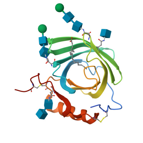 RCSB PDB - 5EPQ: Structure at 1.75 A resolution of a glycosylated ...