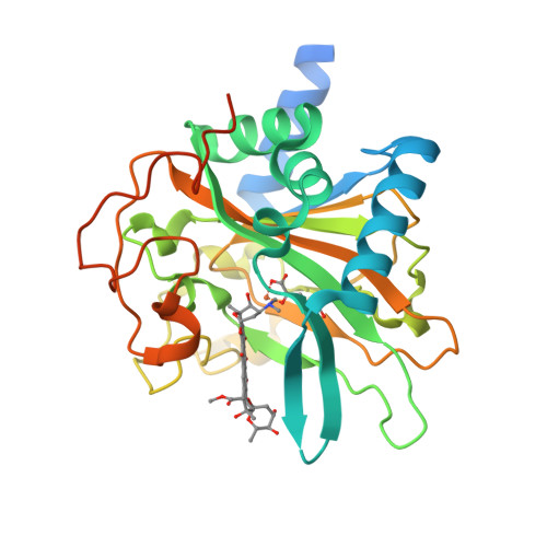 RCSB PDB - 5EQU: Crystal structure of the epimerase SnoN in complex ...