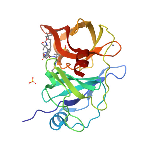 RCSB PDB - 5ESB: Crystal structure of a genotype 1a/3a chimeric HCV NS3 ...