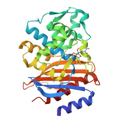 RCSB PDB - 5EUA: Crystal structure of extended-spectrum beta-lactamase ...
