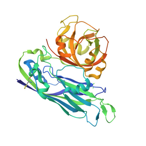 RCSB PDB - 5EWN: Crystal structure of the human astrovirus 1 capsid ...