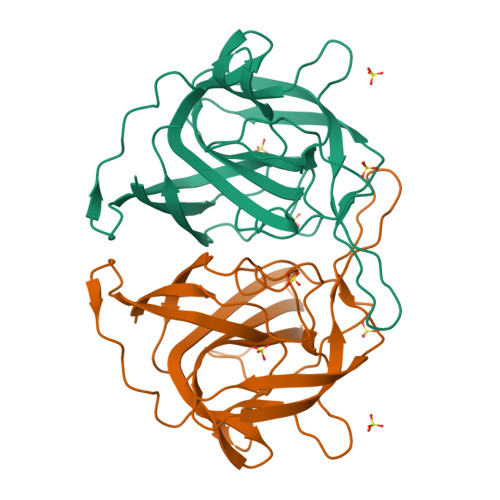 RCSB PDB - 5EWO: Crystal structure of the human astrovirus 1 capsid protein spike domain at 0.95 ...