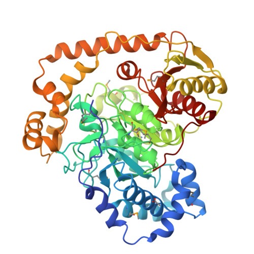 RCSB PDB - 5EWQ: The crystal structure of an amidase family protein ...
