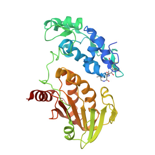 RCSB PDB - 5EZS: Venezuelan Equine Encephalitis Virus (VEEV ...
