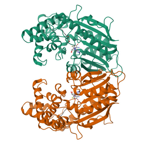 RCSB PDB - 5F2N: Crystal structure of mycobacterial fatty acid O ...