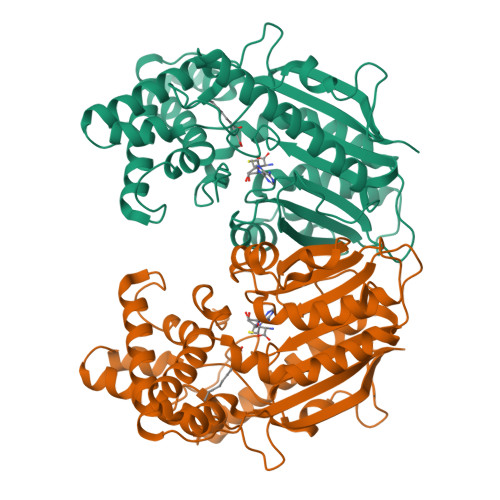 RCSB PDB - 5F2O: Crystal structure of mycobacterial fatty acid O ...