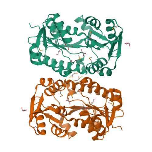 RCSB PDB - 5F5L: The structure of monooxygenase KstA11 in the ...