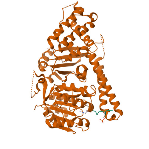 RCSB PDB - 5FC2: Structure of a separase in complex with a pAMK peptide ...