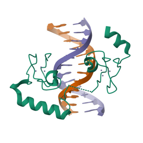 RCSB PDB - 5FD3: Structure of Lin54 tesmin domain bound to DNA