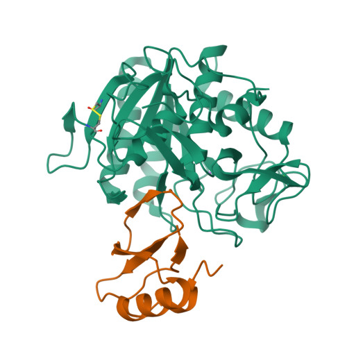 RCSB PDB - 5FFN: Complex of subtilase SubTY from Bacillus sp. TY145 ...