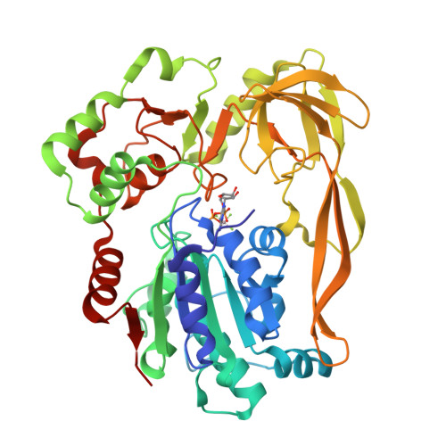 RCSB PDB - 5FHF: Crystal structure of Bacteroides sp Pif1 in complex ...